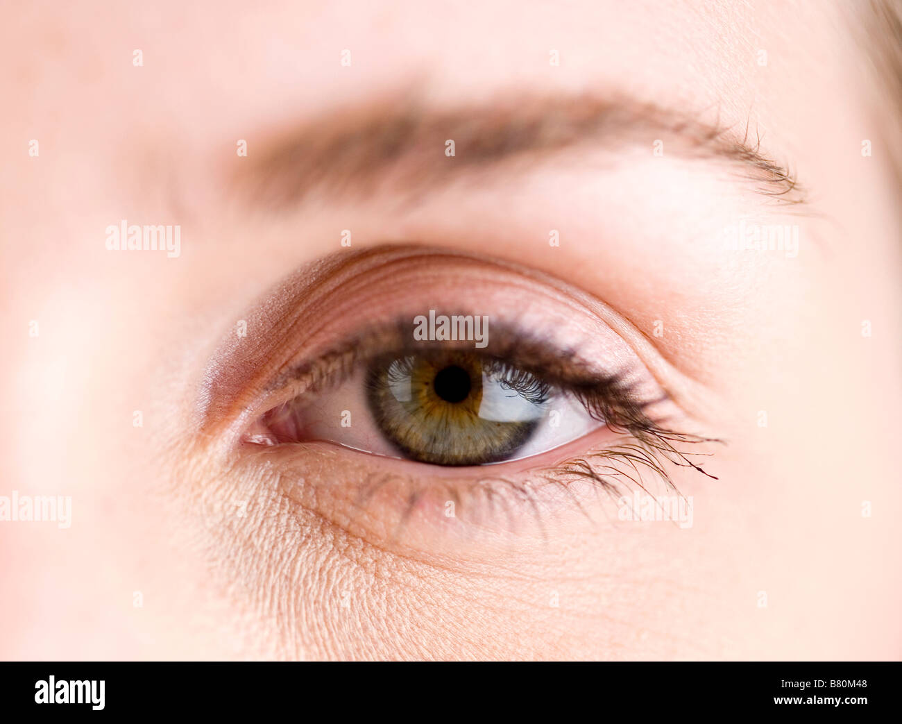 Close up to a young woman s left eye and eyebrow Stock Photo - Alamy