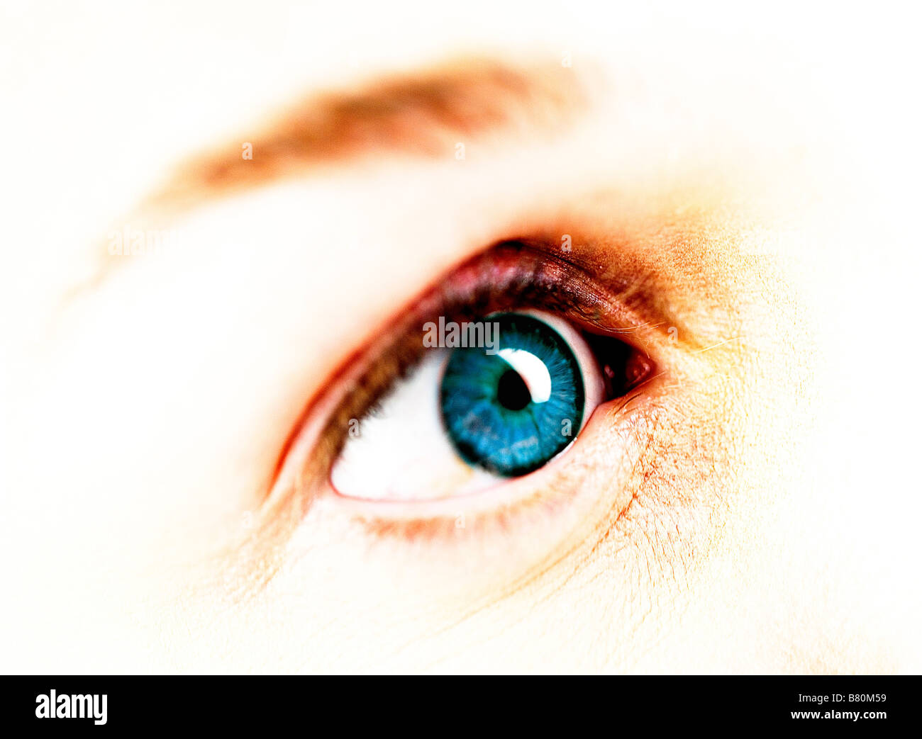 Close up to one blue eye and eyebrow side view Stock Photo - Alamy