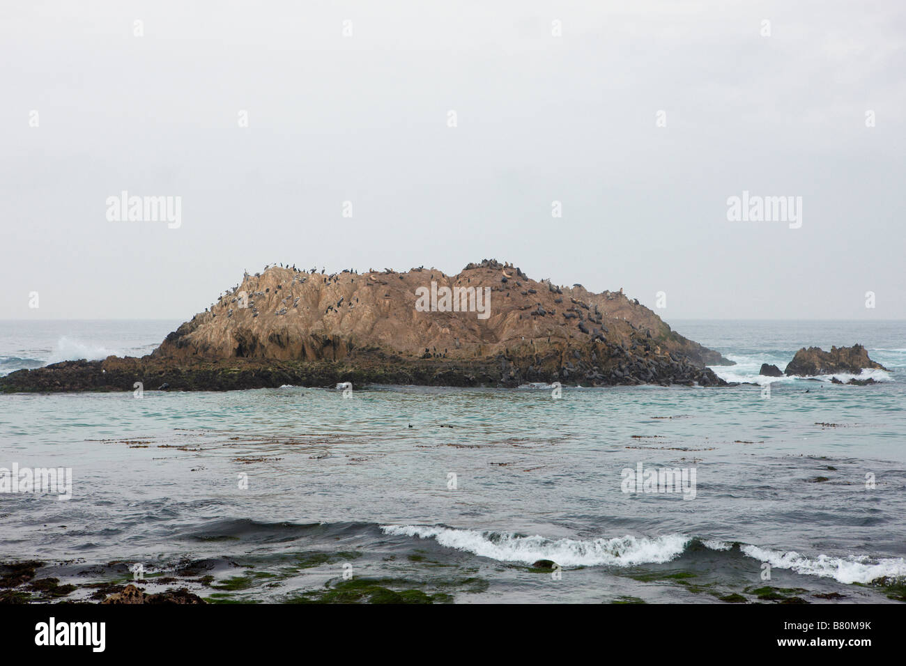 Bird Rock - a landmark on the 17-mile drive at Pebble Beach near Carmel ...
