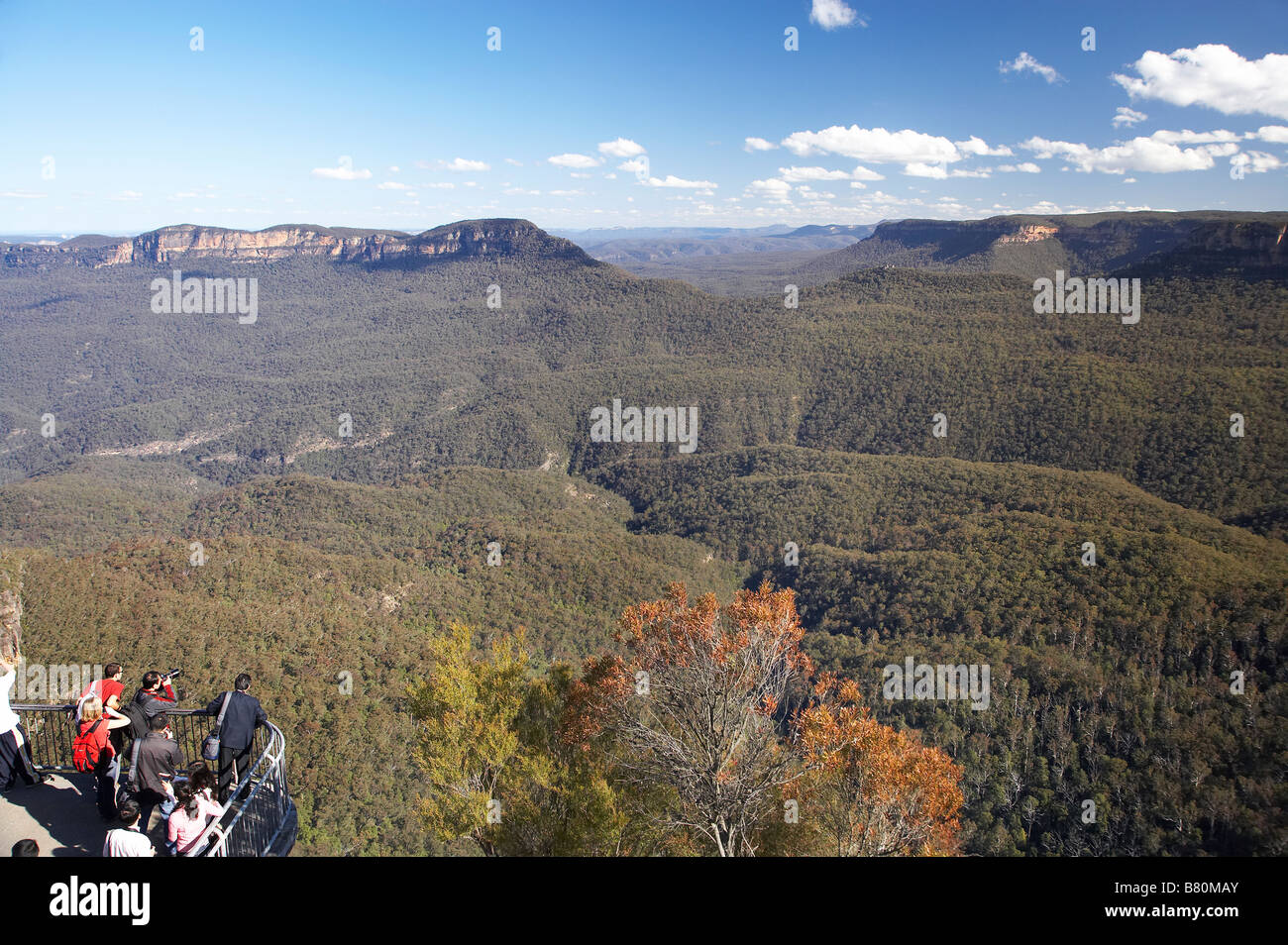 View of Jamison Valley and Mt Solitary left from Echo Point Katoomba ...