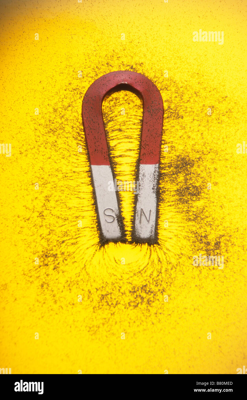 Red and white magnet on yellow background with iron filings showing ...