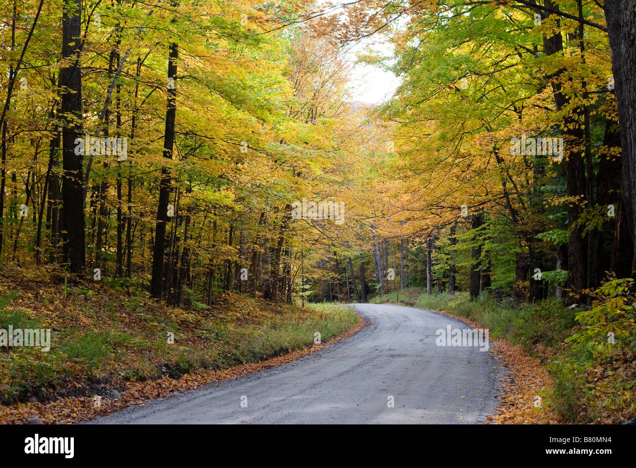 Autumn vermont hi-res stock photography and images - Alamy