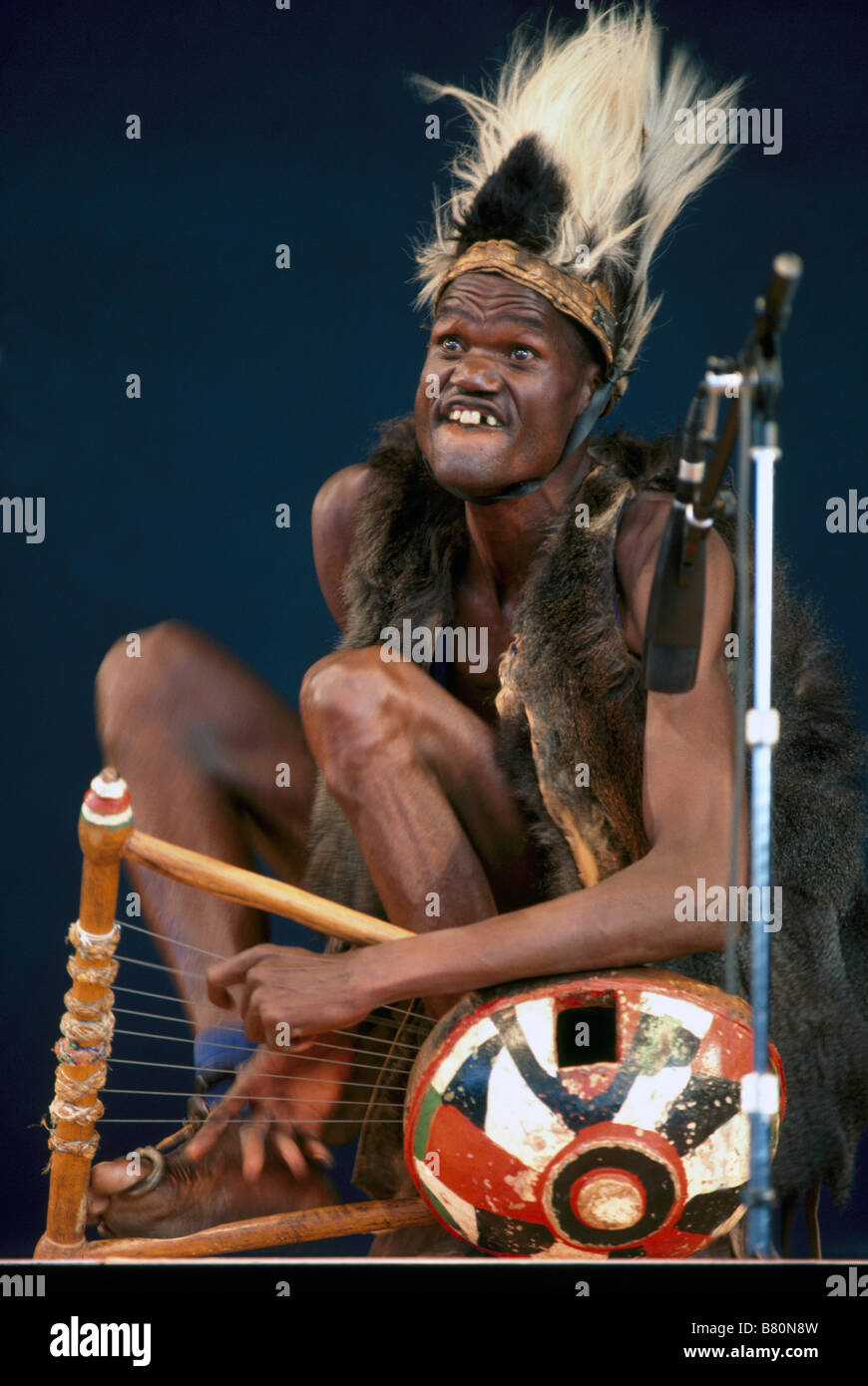 West african stringed instrument hi-res stock photography and images ...