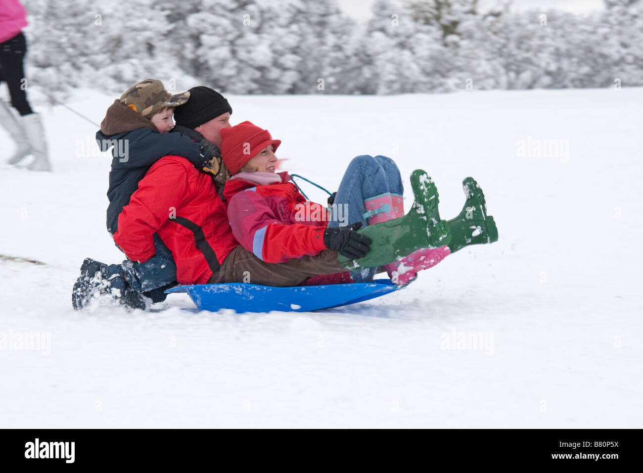 Parents and children sledging in deep snow on slopes of Cleeve Hill ...
