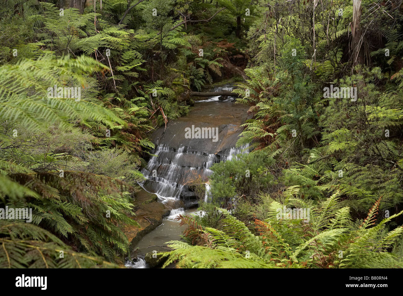 Leura cascades hi-res stock photography and images - Alamy