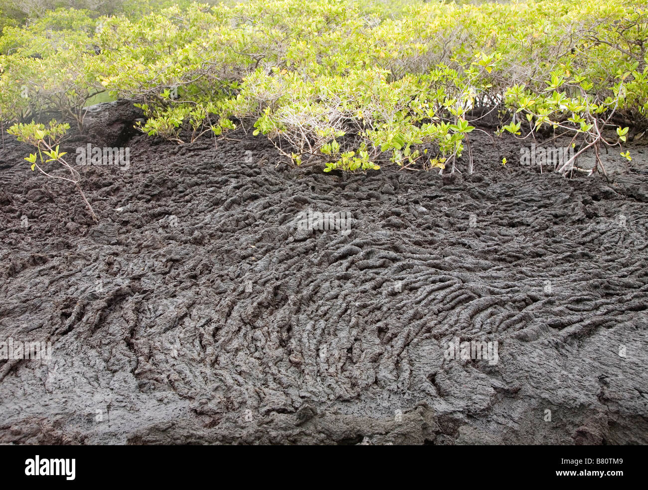 Lava Rope High Resolution Stock Photography and Images - Alamy