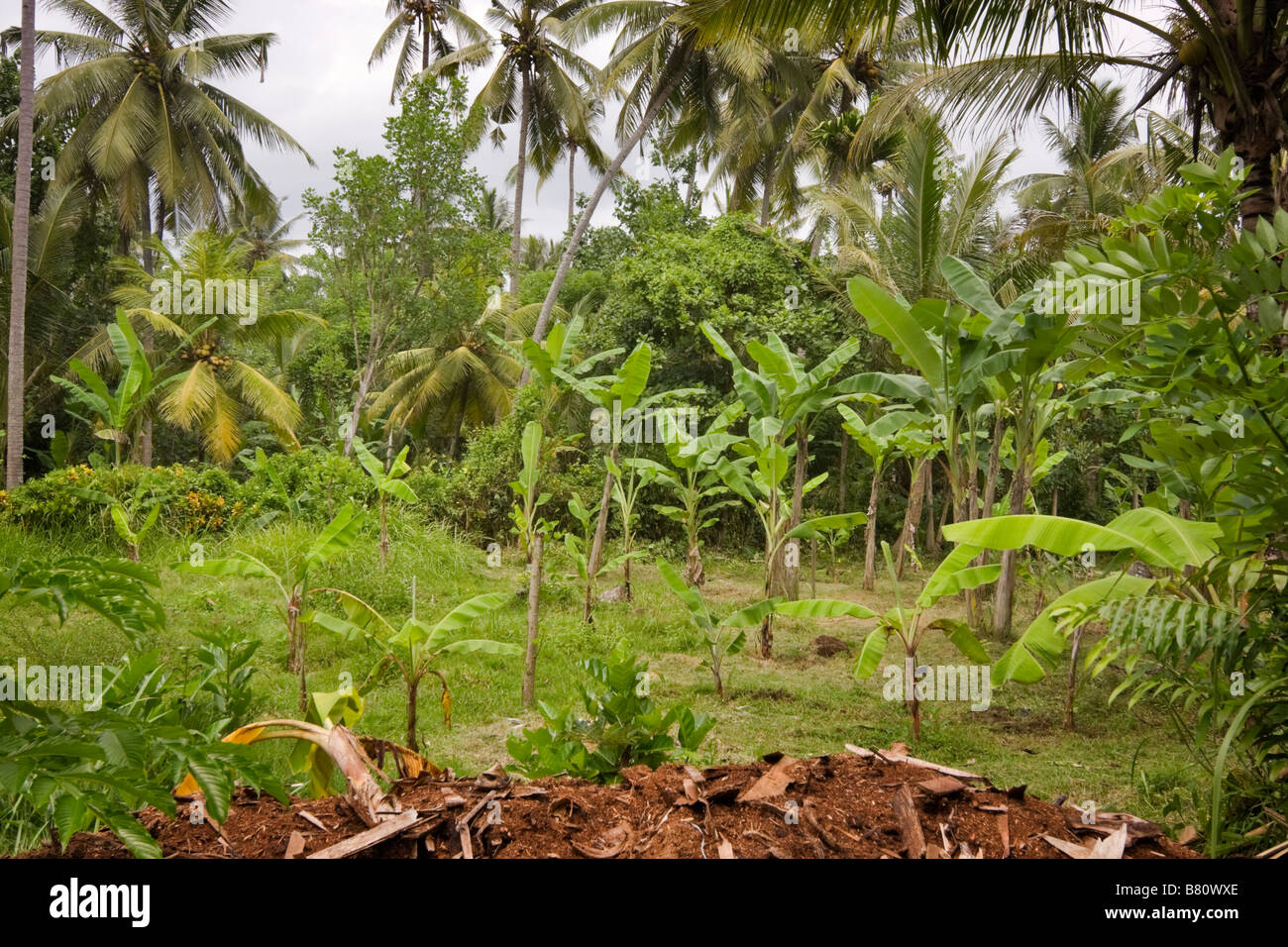 Family plot hi-res stock photography and images - Alamy