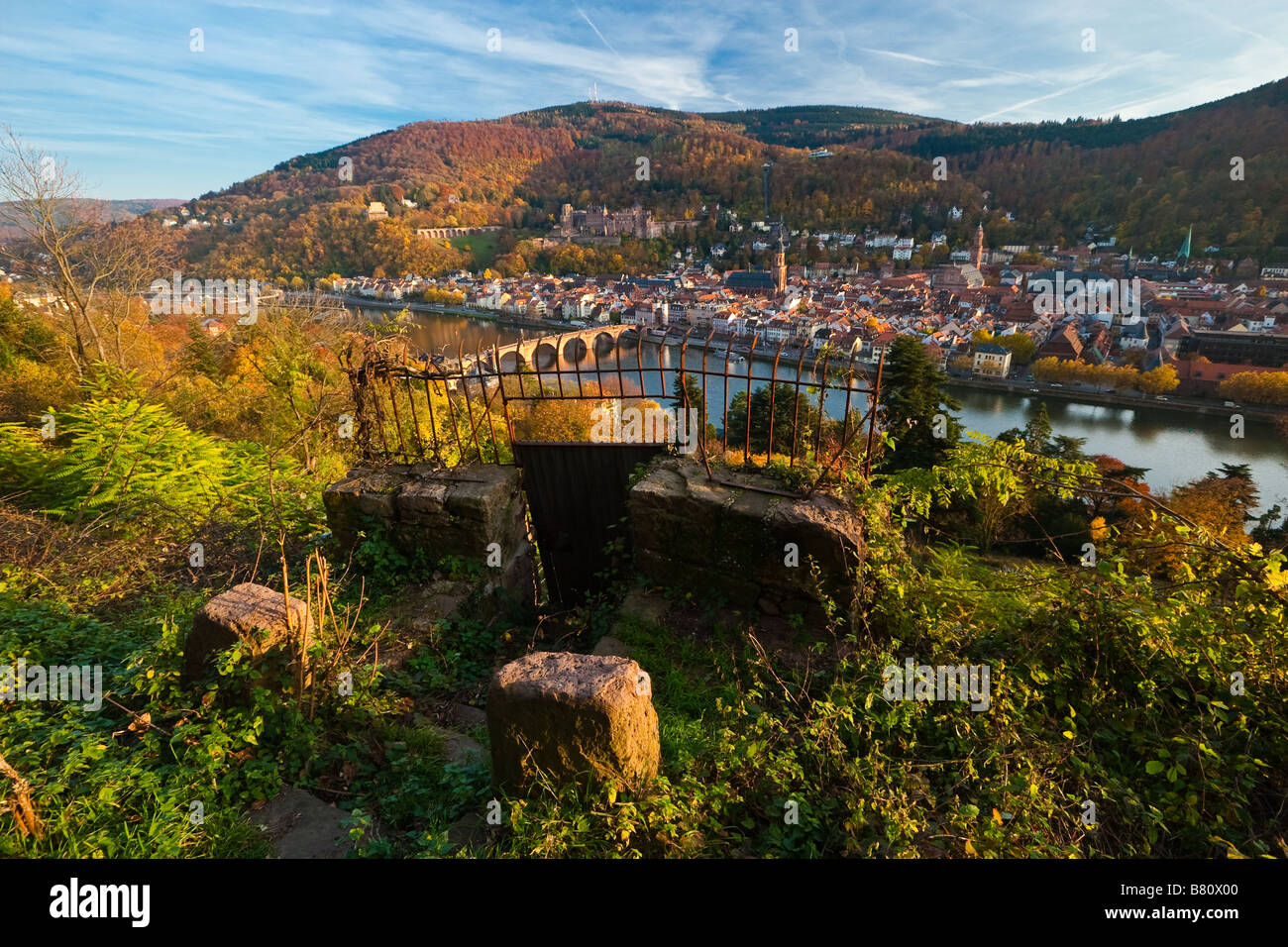 Heidelberg, Germany in fall Stock Photo - Alamy