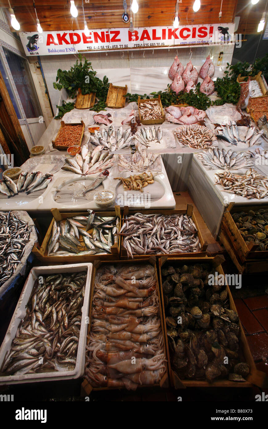 FISH MARKET STALL KUMKAPI ISTANBUL TURKEY KUMKAPI ISTANBUL TURKEY 11 ...