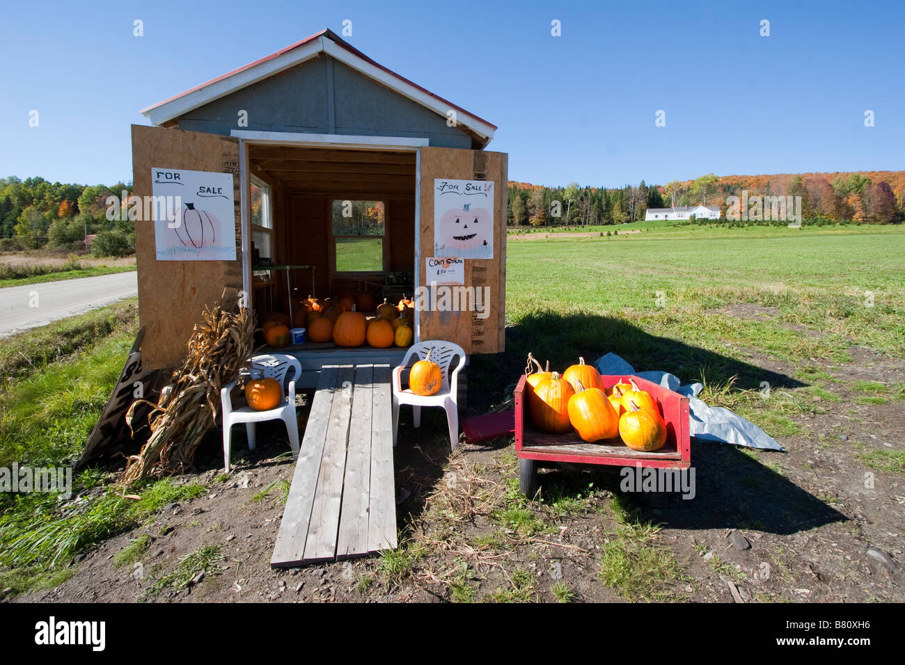 Small farm usa hi-res stock photography and images - Alamy