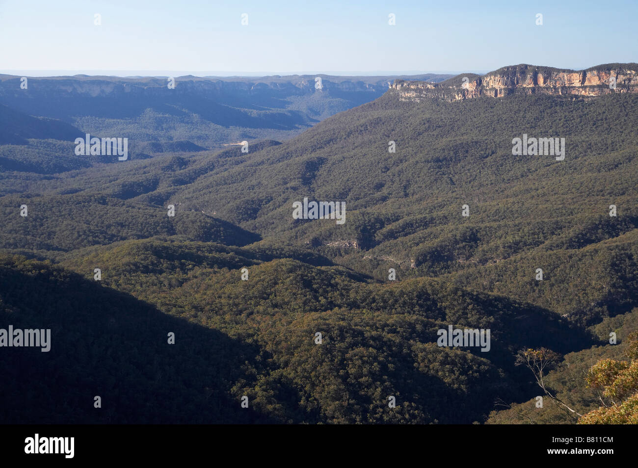 Jamison Valley from Eaglehawk Lookout Katoomba Blue Mountains New South ...