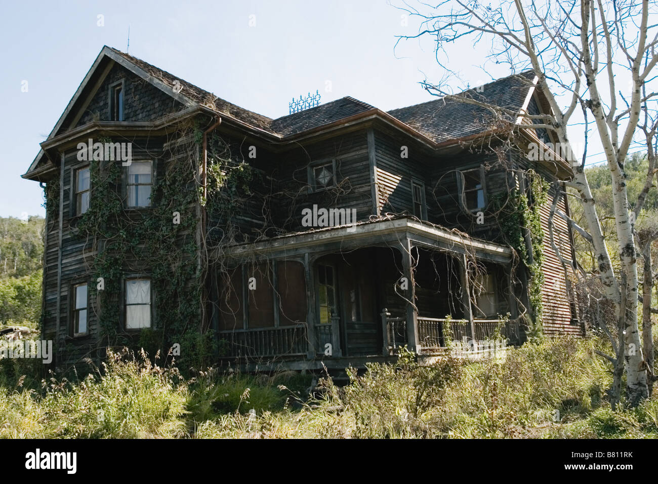 The Messengers Year: 2007 USA Director: Oxide Pang, Danny Pang Stock ...