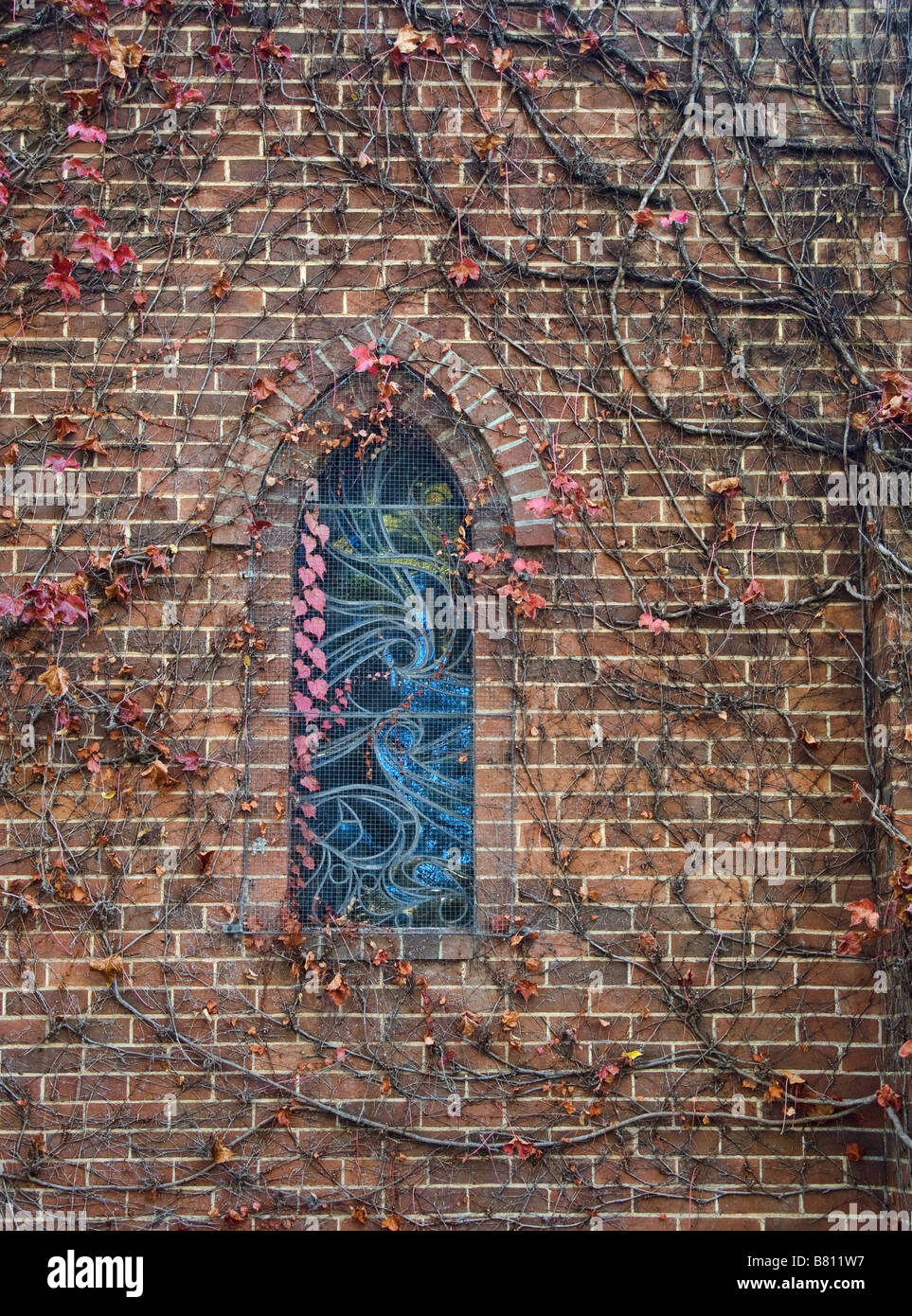 excellent image of an old church window with red ivy Stock Photo - Alamy