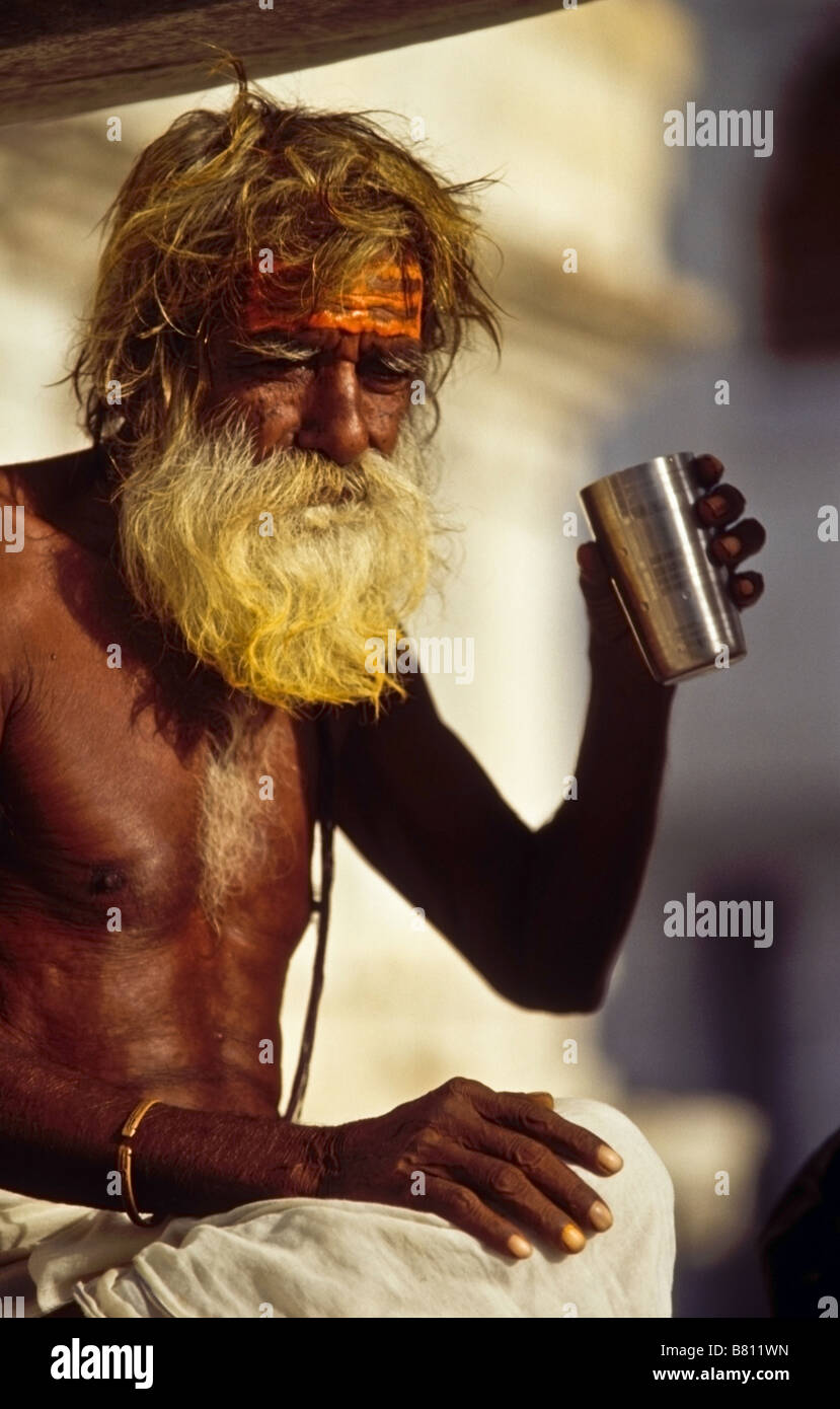 Portrait of a Sadhu ( holy man) with long coloured beard and an orange ...