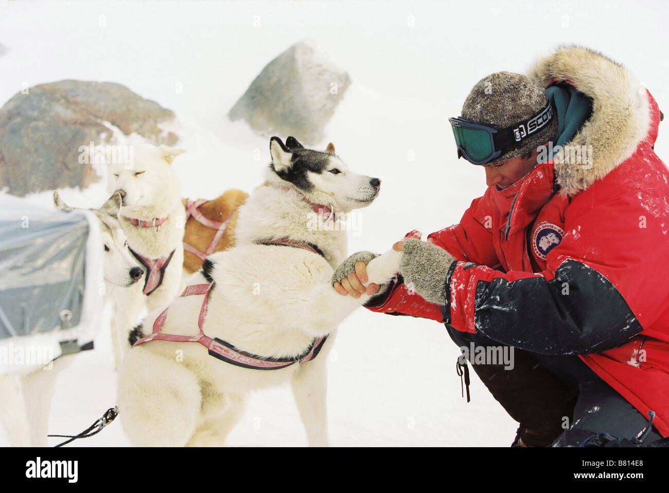 Eight Below 2006 Paul Walker High Resolution Stock Photography and ...