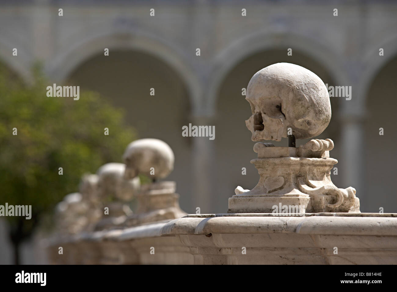 Certosa di San Martino monastery, skulls at the monks’ cemetery, Naples ...