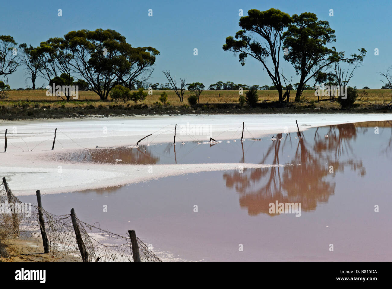 Western Australia salt lakes on farmland Stock Photo - Alamy