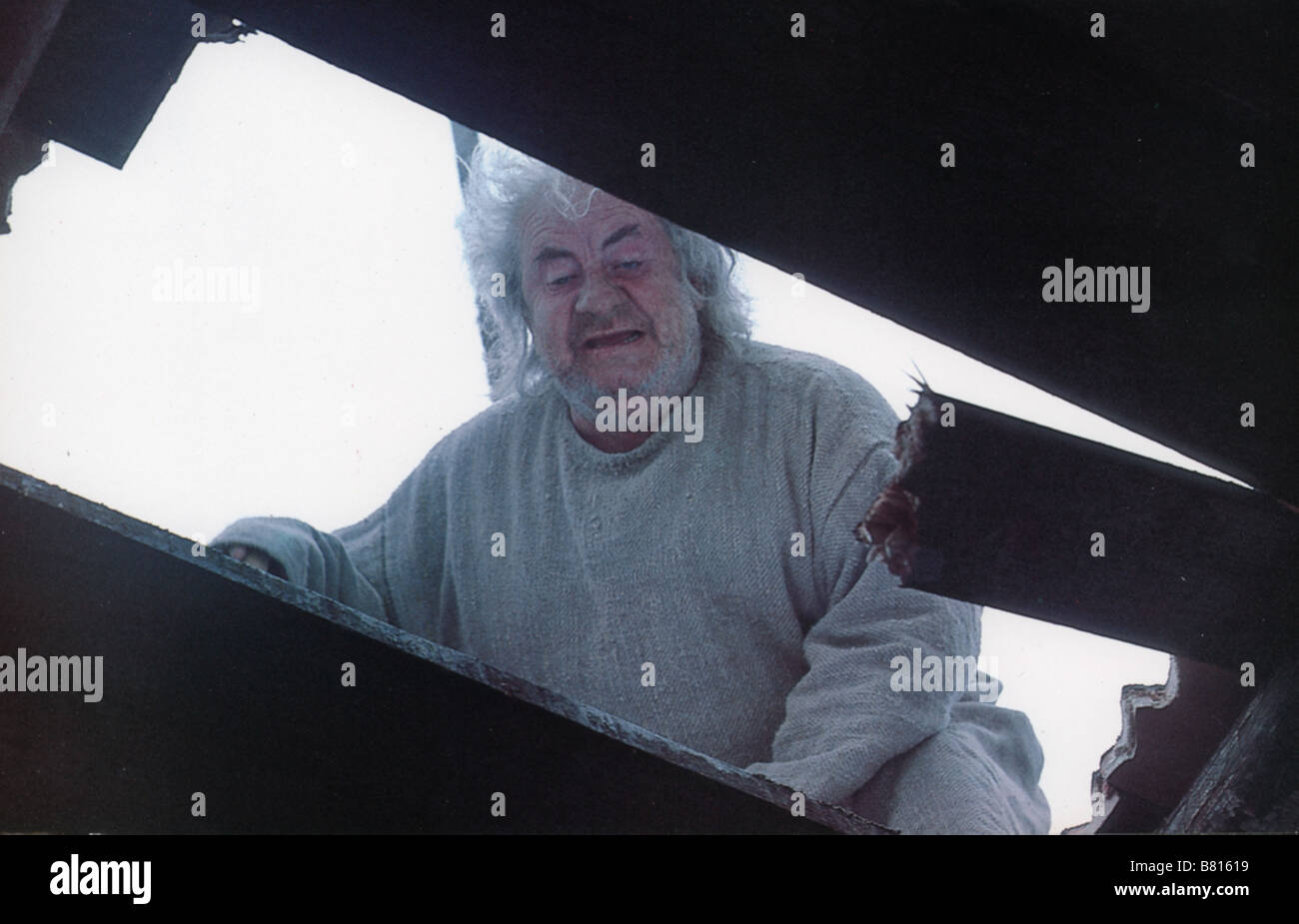 Ladyhawke year hi-res stock photography and images - Alamy