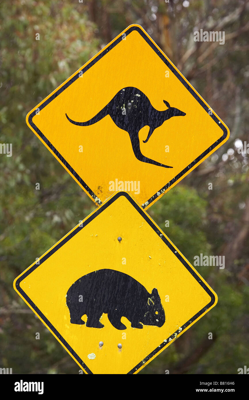 Kangaroo and Wombat Warning Sign Jenolan Caves Road Blue Mountains New ...