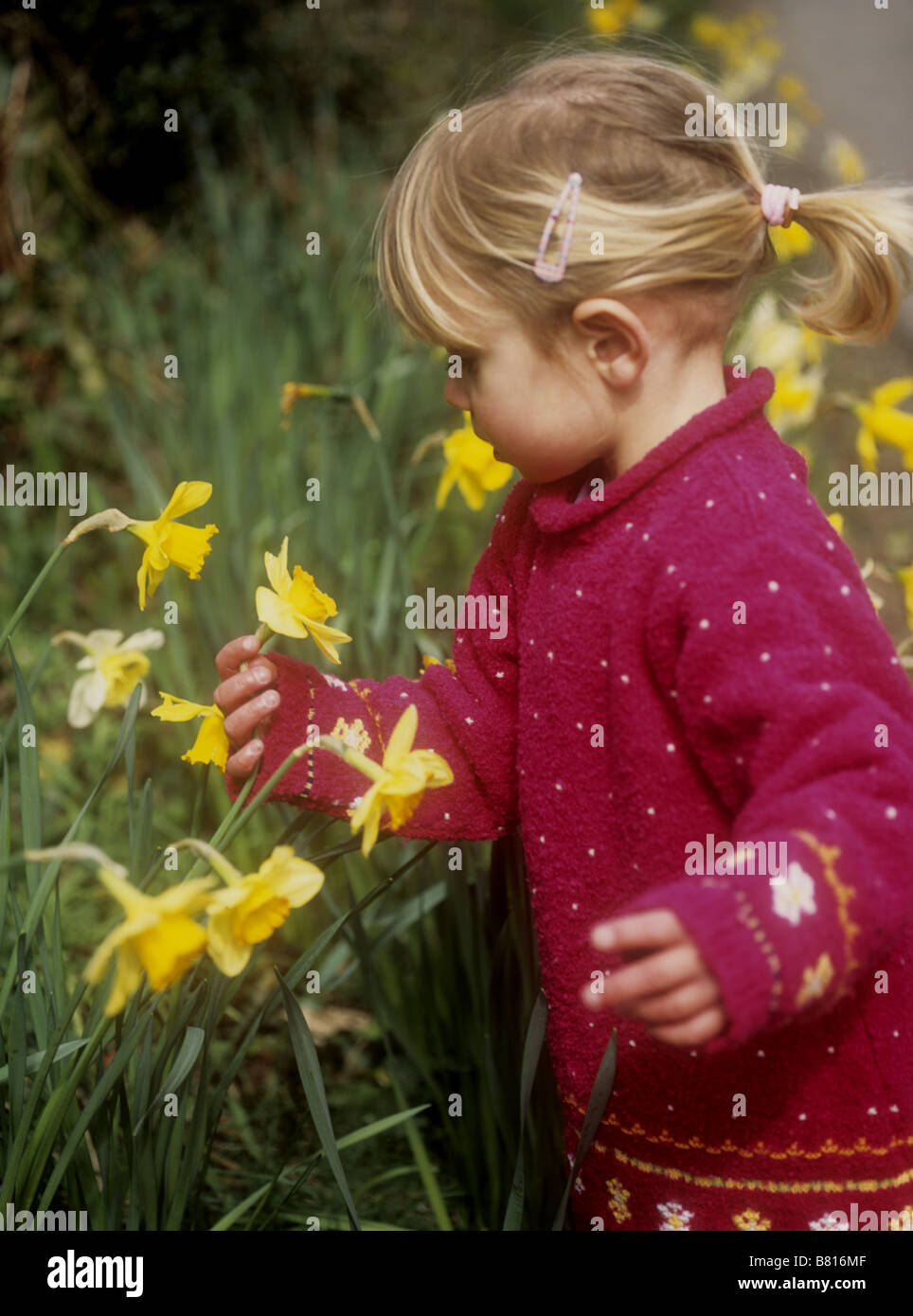Child looking flowers country hi-res stock photography and images - Alamy