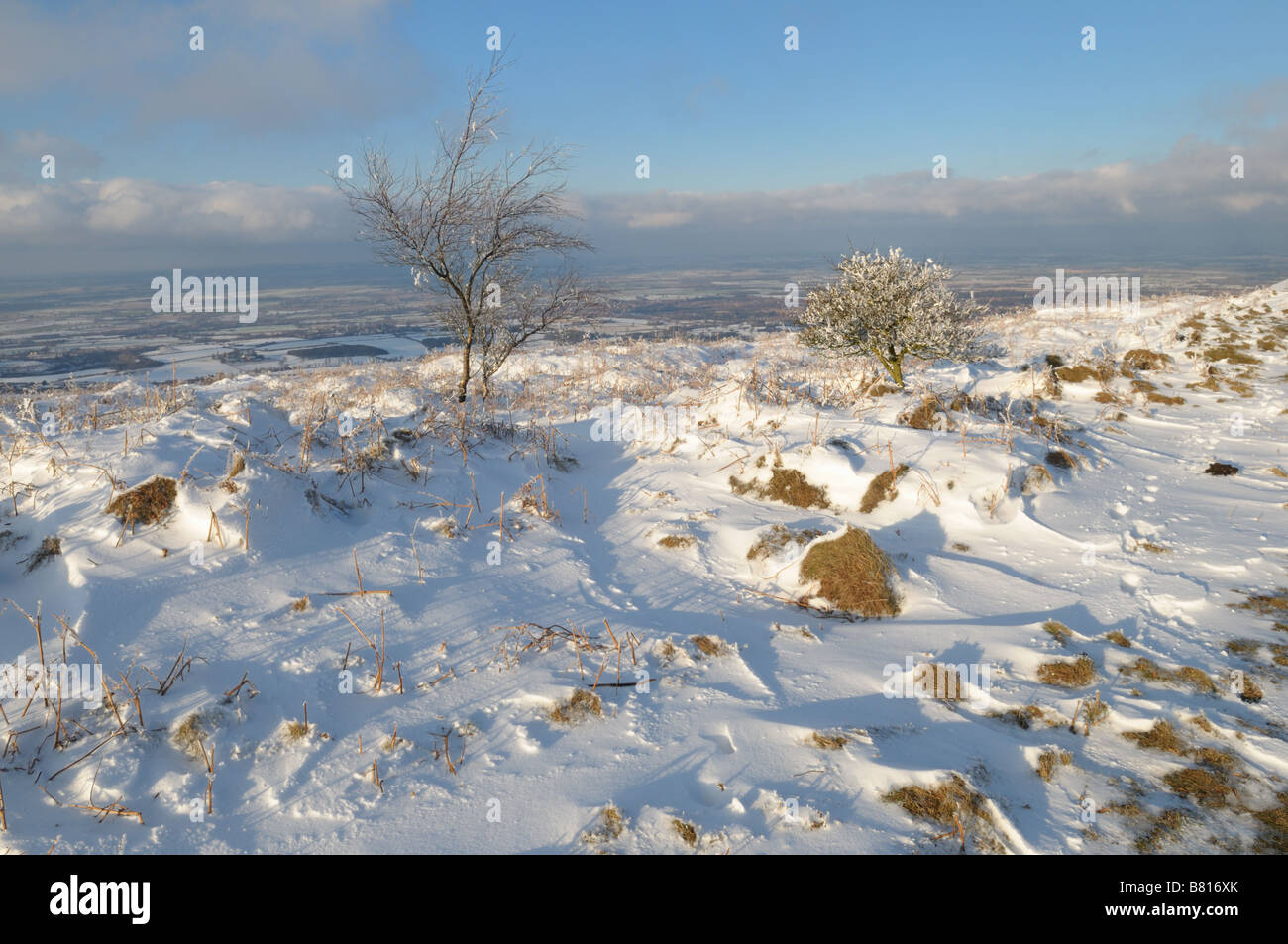 Snow and frost covered trees on the Wrekin, Shropshire, West Midlands ...