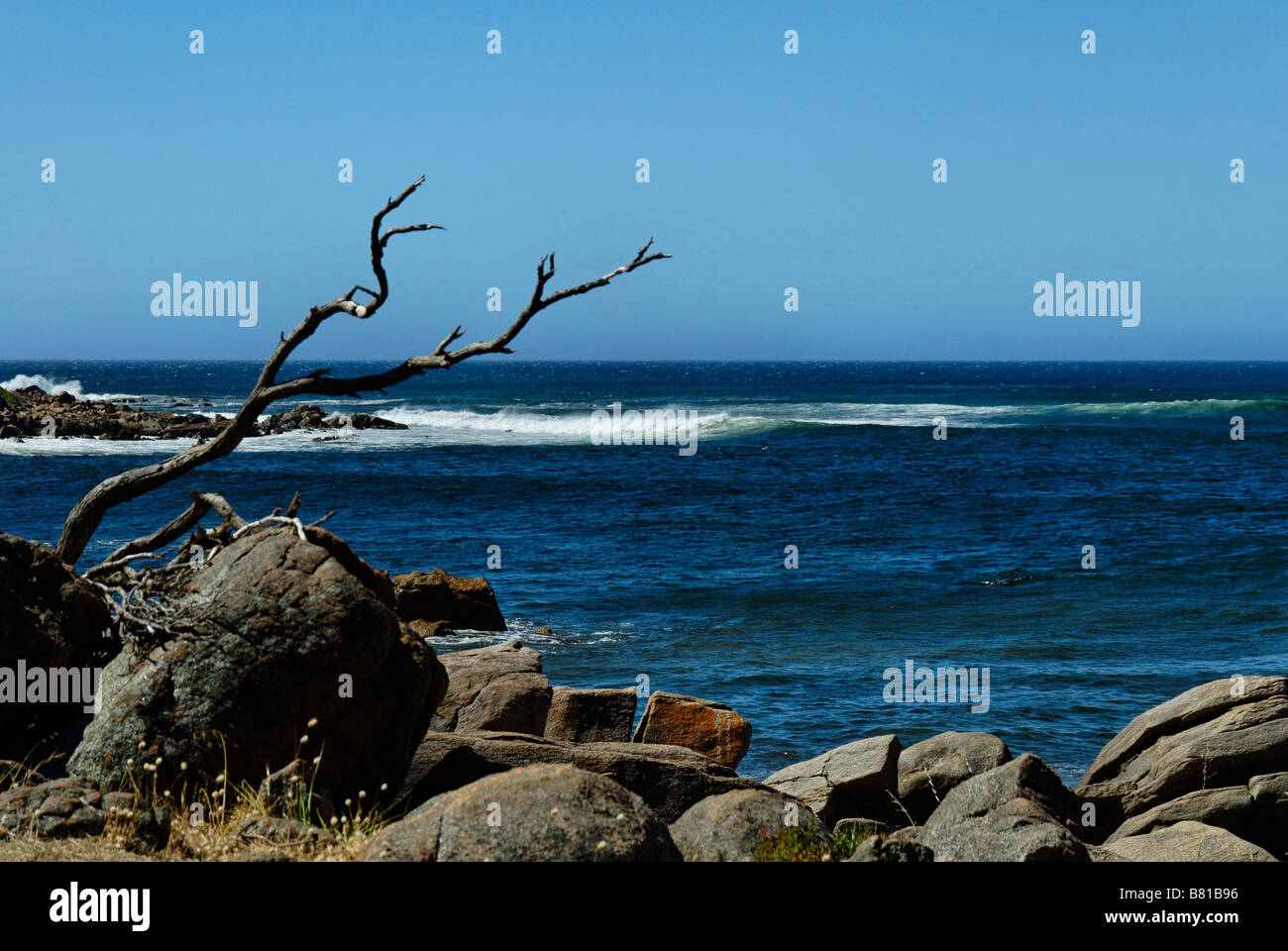 Western Australia Bunker Bay Stock Photo - Alamy