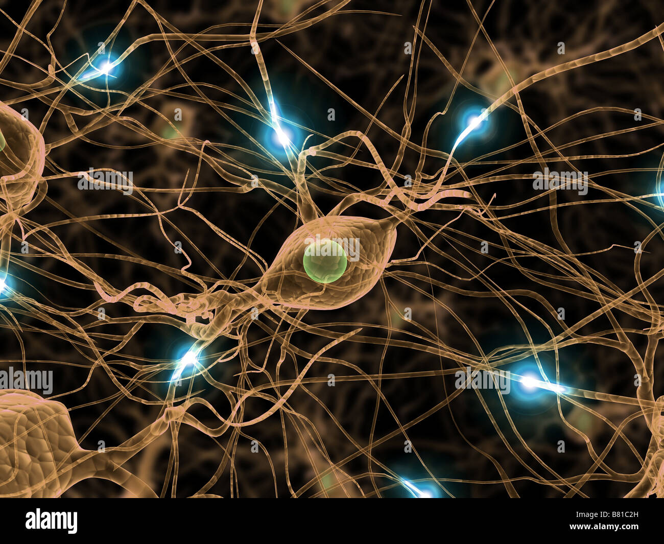 active nerve cells Stock Photo - Alamy