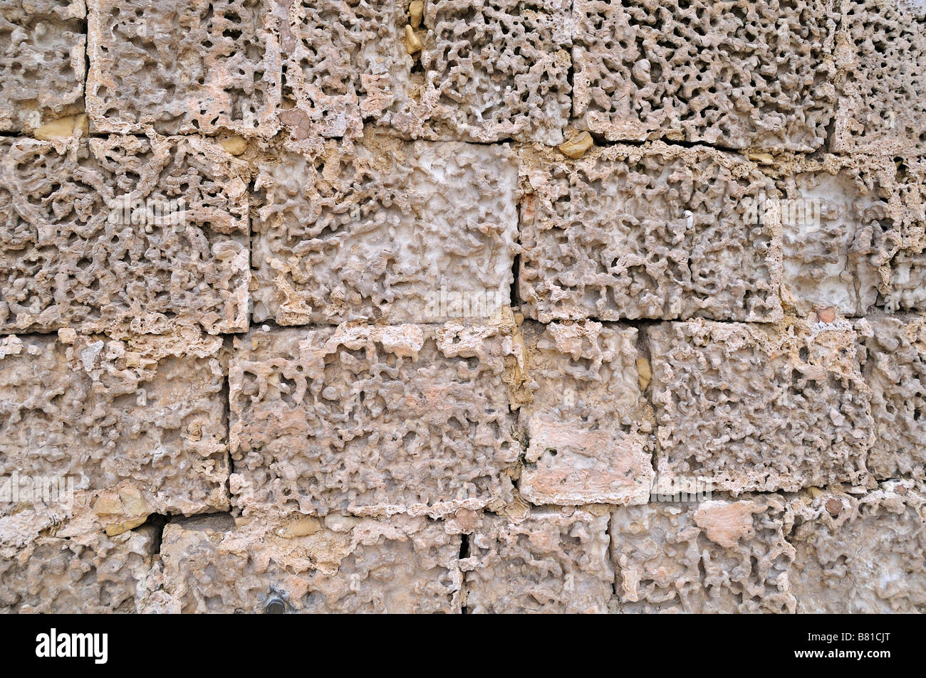texture limestone wide Stock Photo - Alamy