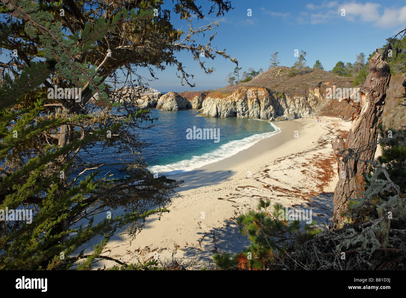 Gibson Beach. Point Lobos State Reserve, California, USA Stock Photo ...
