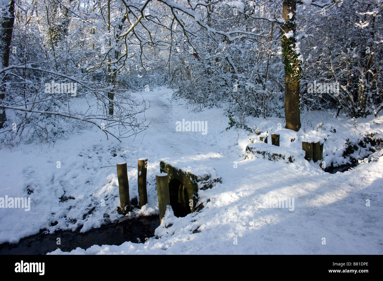 East sheen london hi-res stock photography and images - Alamy