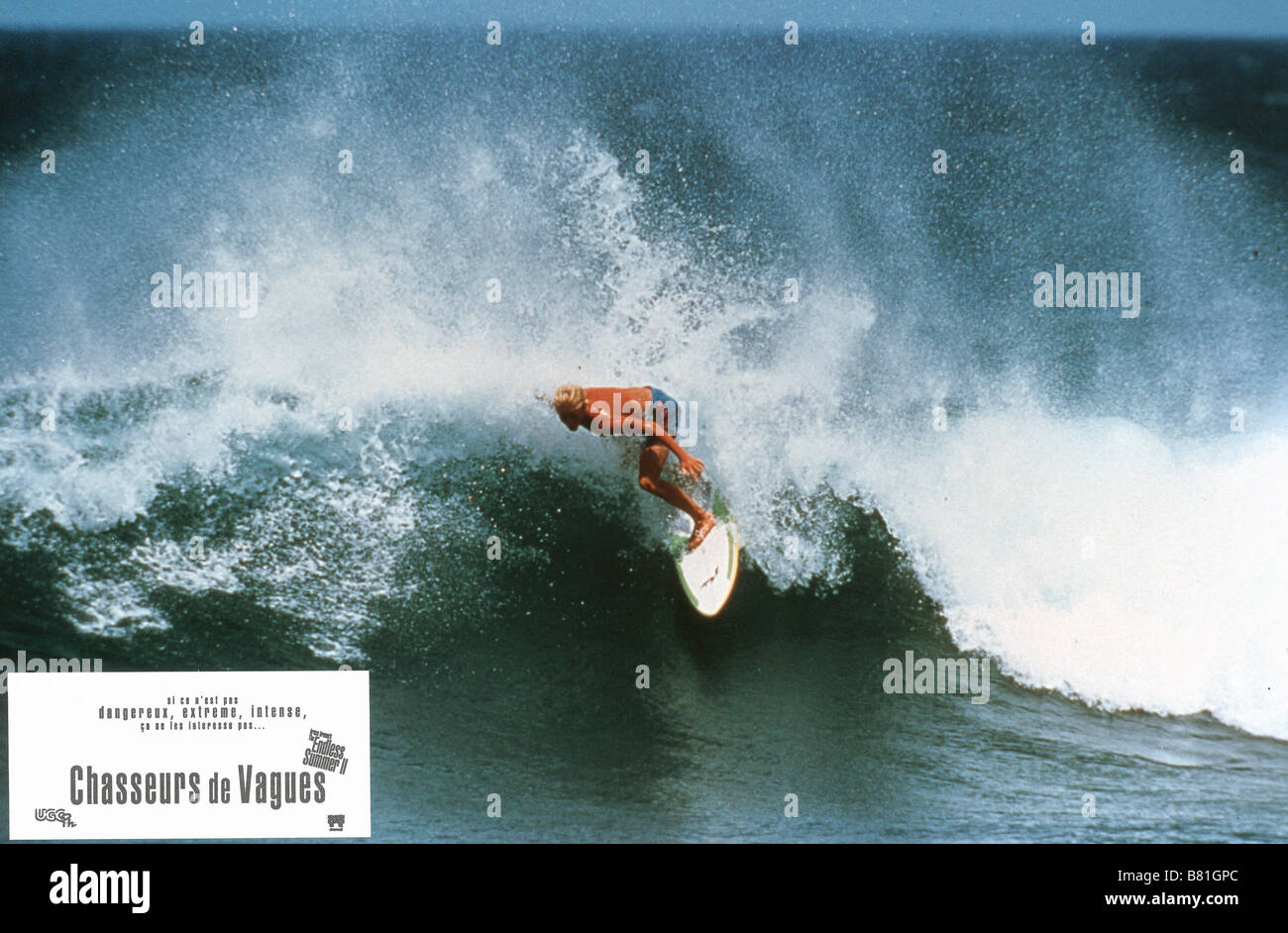 Chasseurs de vagues The Endless Summer 2 Year: 1994 USA Director: Bruce ...