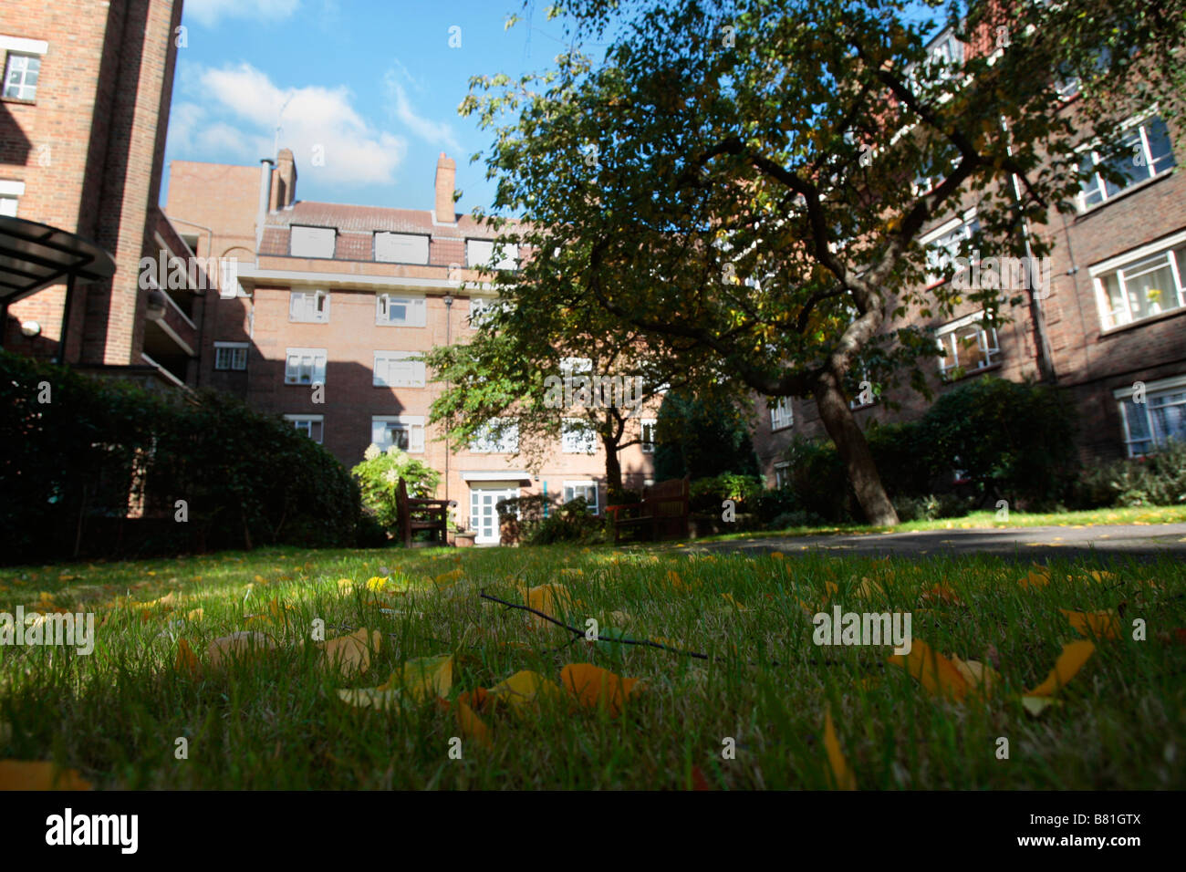 General view of the garden on a London housing estate Stock Photo - Alamy