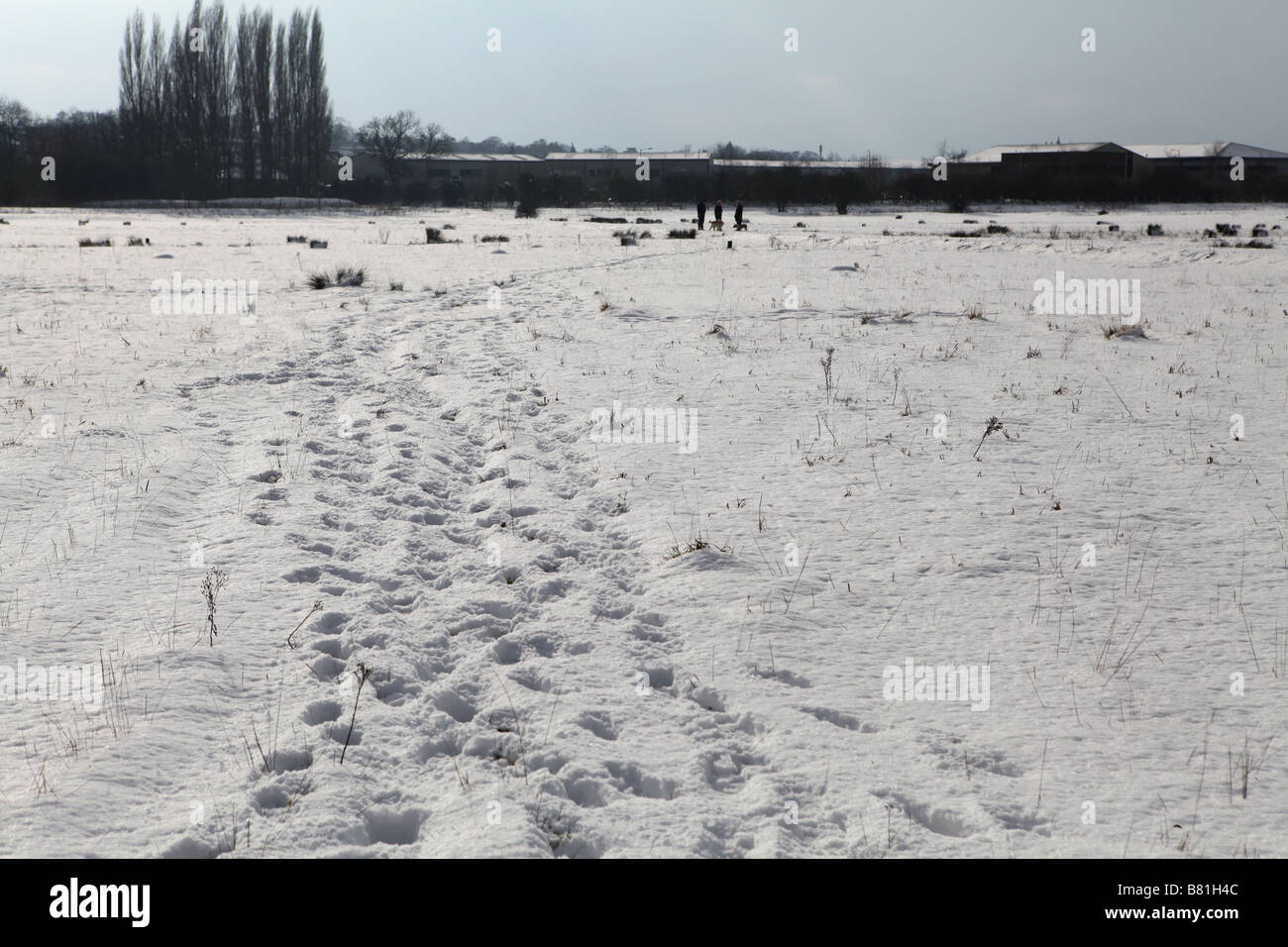 a young boy walks a frozen field after his school had closed due to the ...