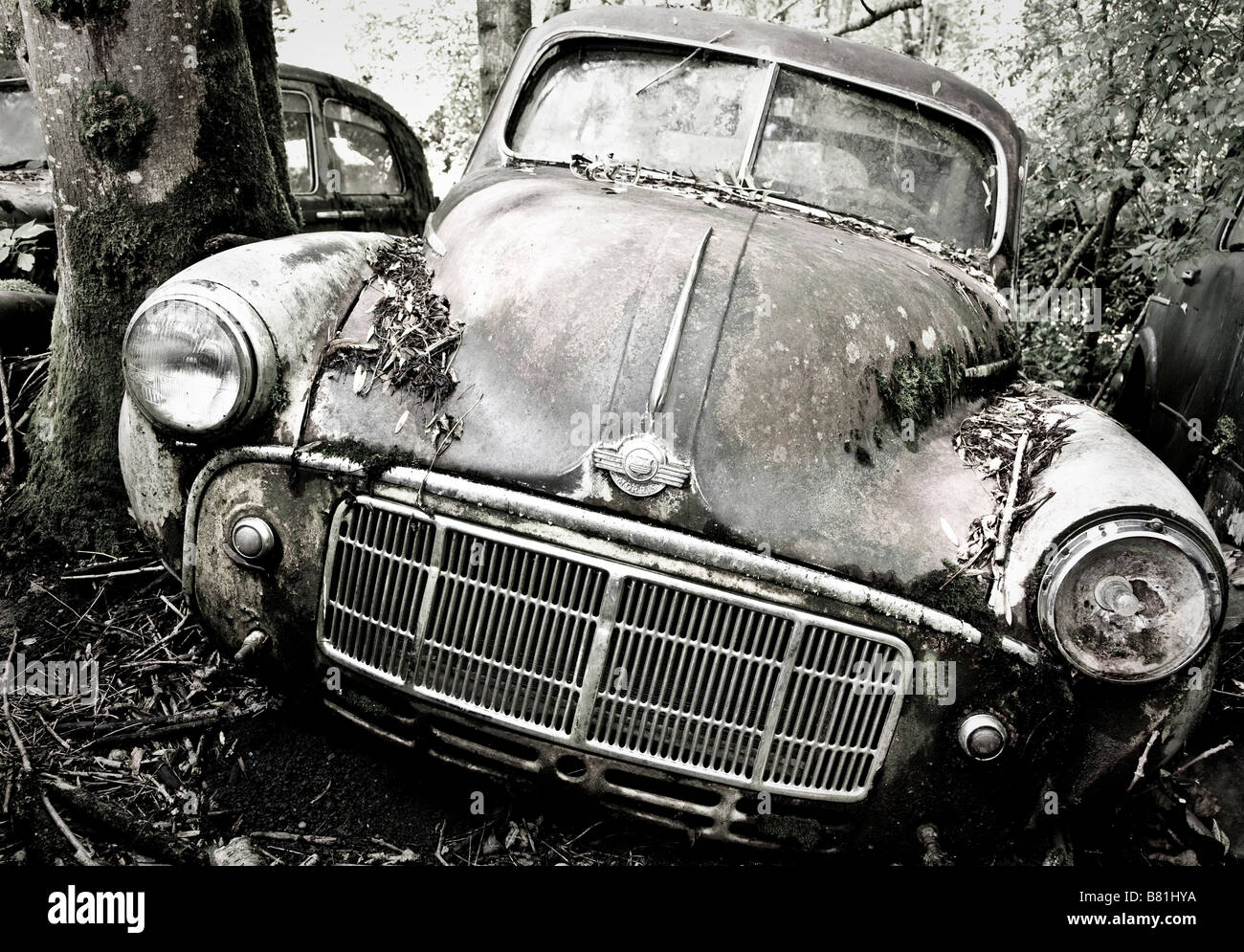 Car wreck on a junkyard, colours desaturated Stock Photo - Alamy