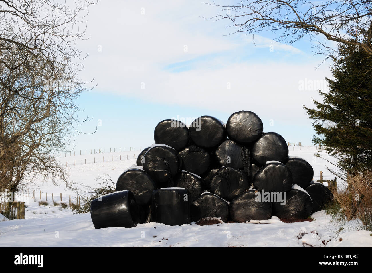 Wrapped silage bales in snow Black Mountain Carmarthenshire Wales Stock ...