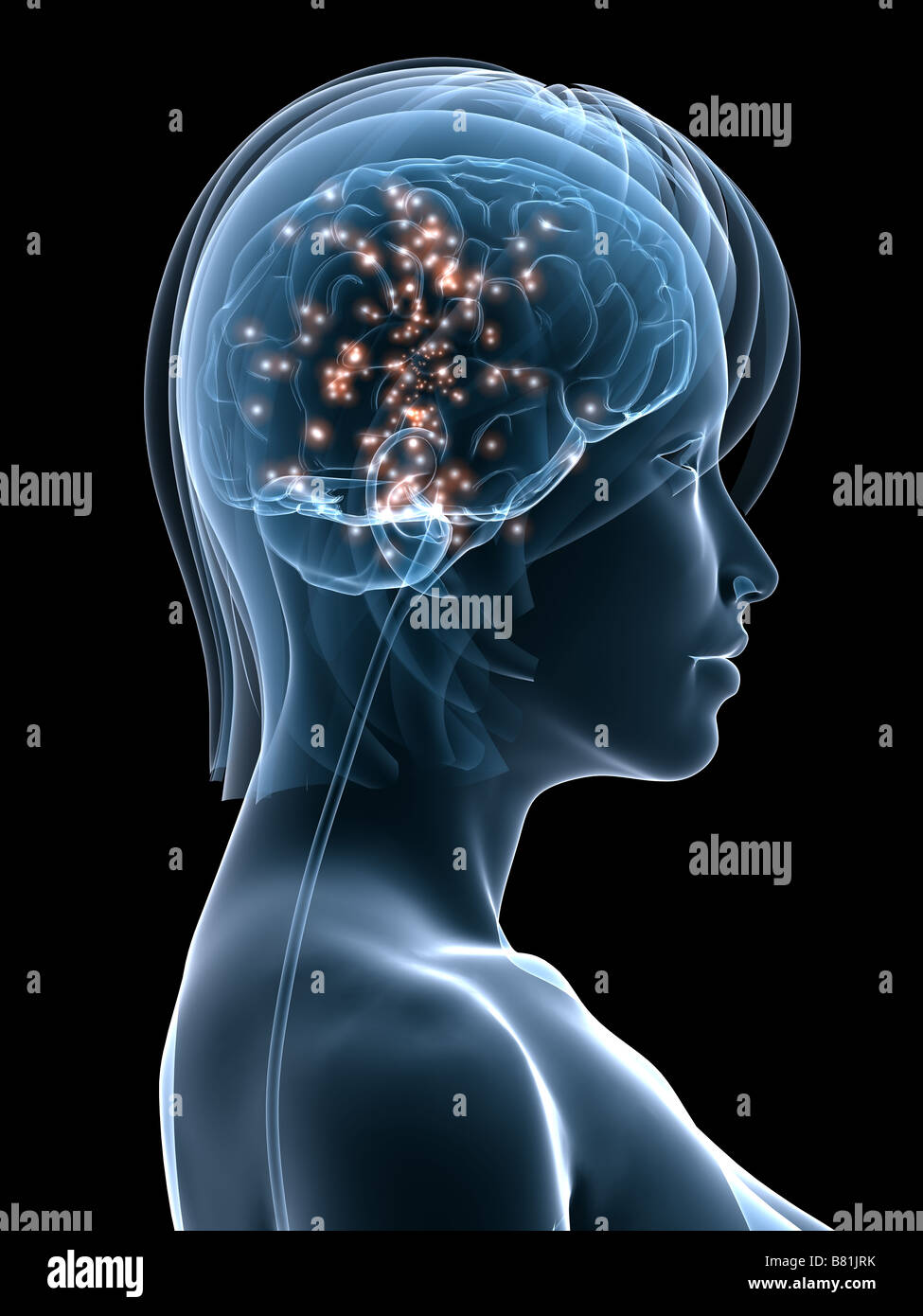 Human brain neuron hi-res stock photography and images - Alamy