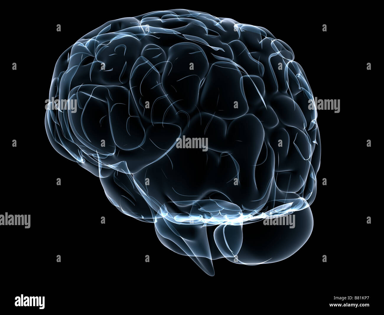 Human brain neuron hi-res stock photography and images - Alamy