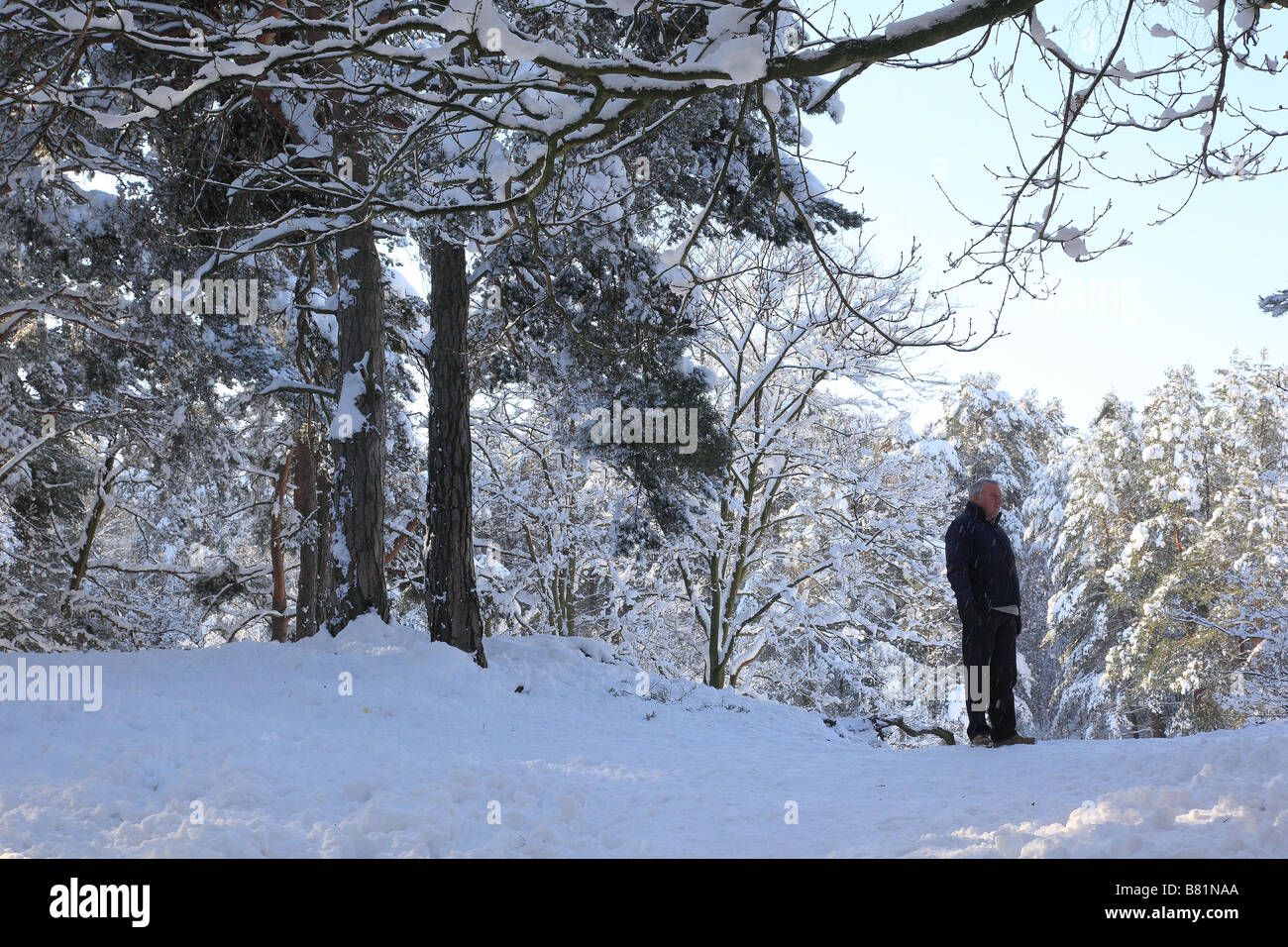 Esher surrey hi-res stock photography and images - Alamy