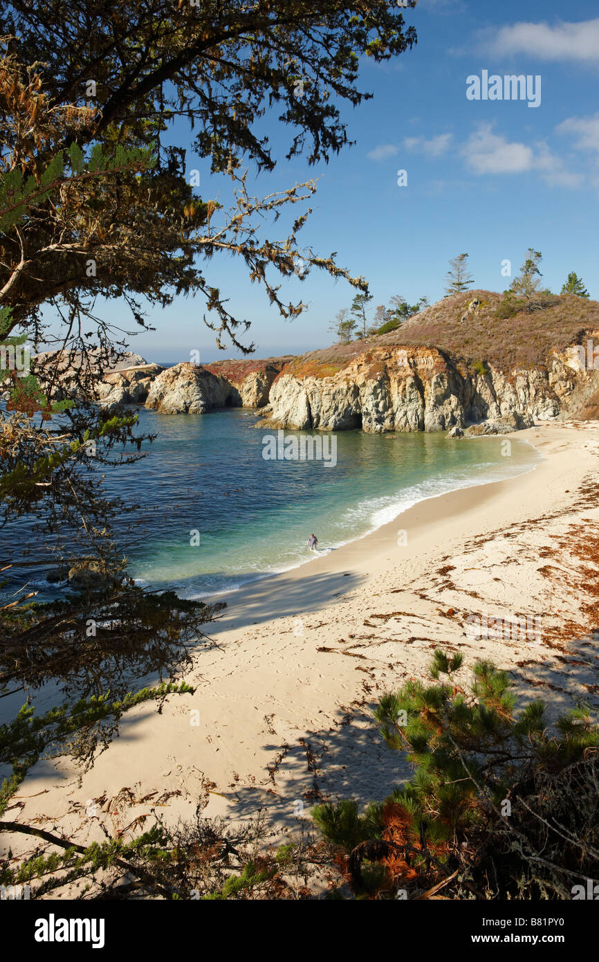 Gibson Beach. Point Lobos State Reserve, California, USA Stock Photo ...