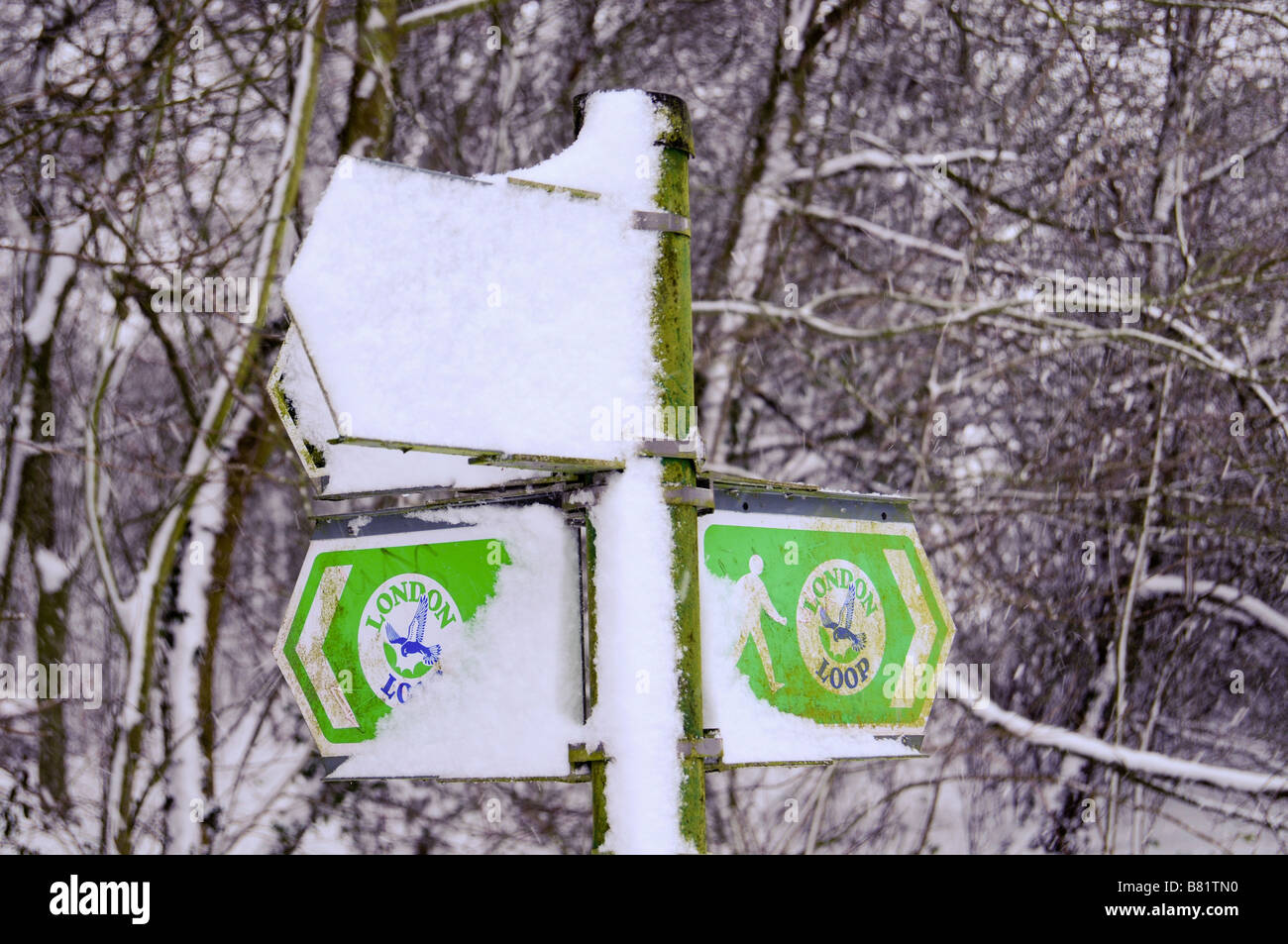 A green snow covered sign for the walking route The London Loop ...