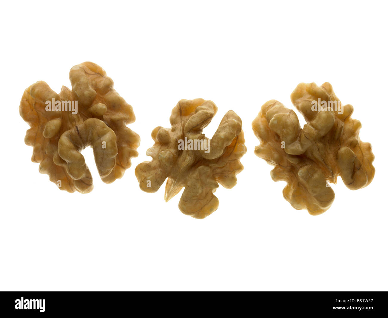Walnut hi-res stock photography and images - Alamy
