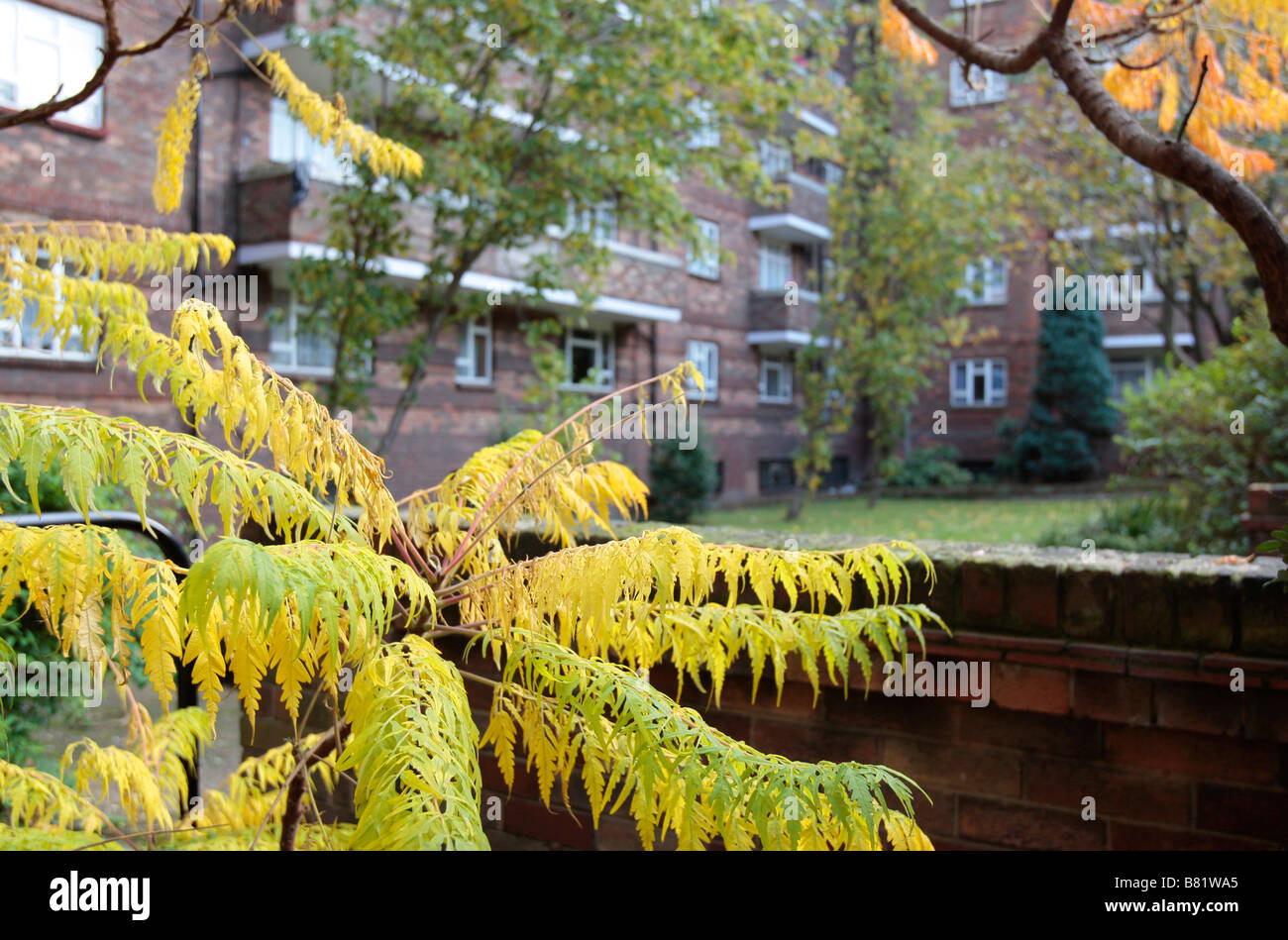 London housing estate hi-res stock photography and images - Alamy