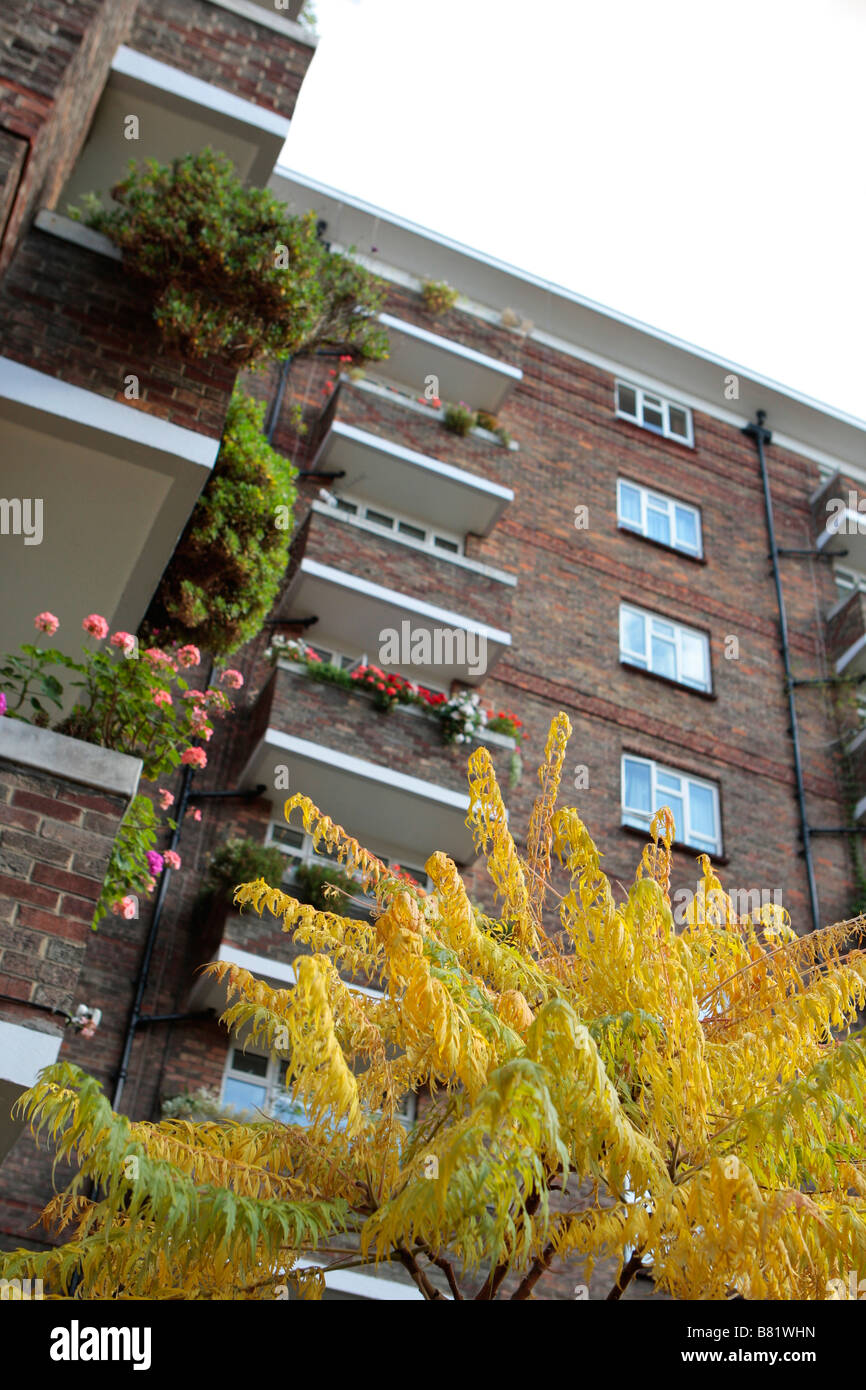 General view of the garden on a London housing estate Stock Photo - Alamy