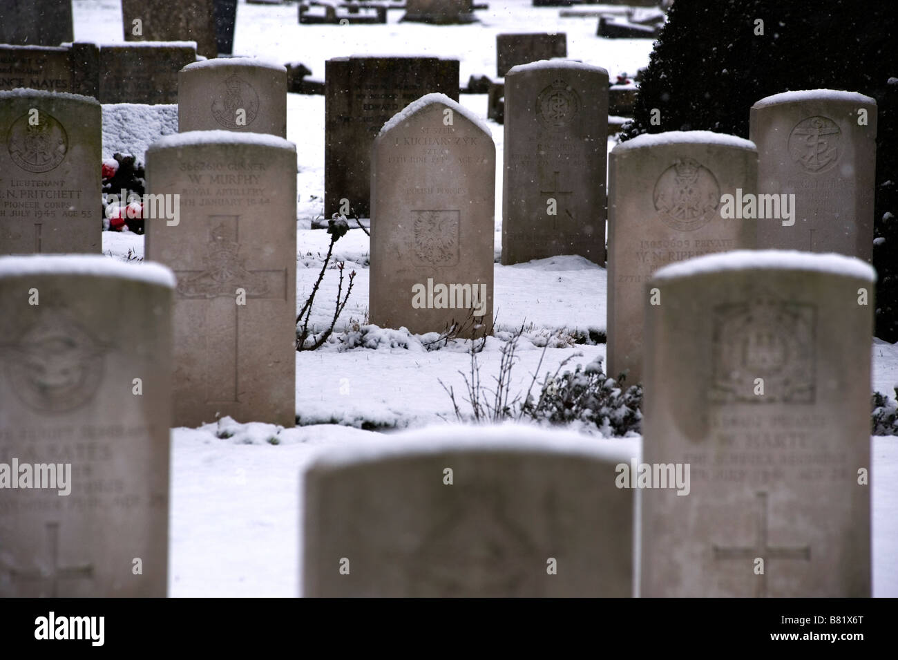 Snow quiet silence Cambridge CWGC Commonwealth War Graves Commission ...