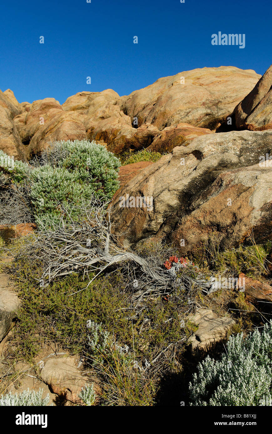 Red and orange coloured rock at Canal Rocks Western Australia Stock ...