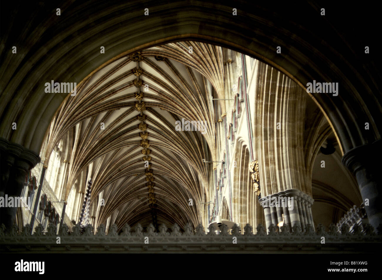 Vaulted ceiling, Exeter Cathedral, Devon, UK Stock Photo - Alamy