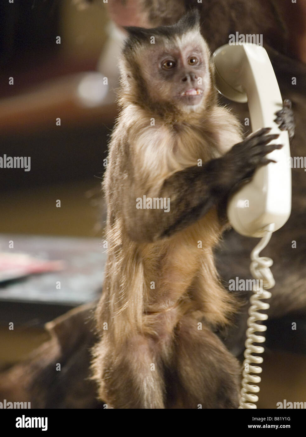 Night At The Museum Monkey