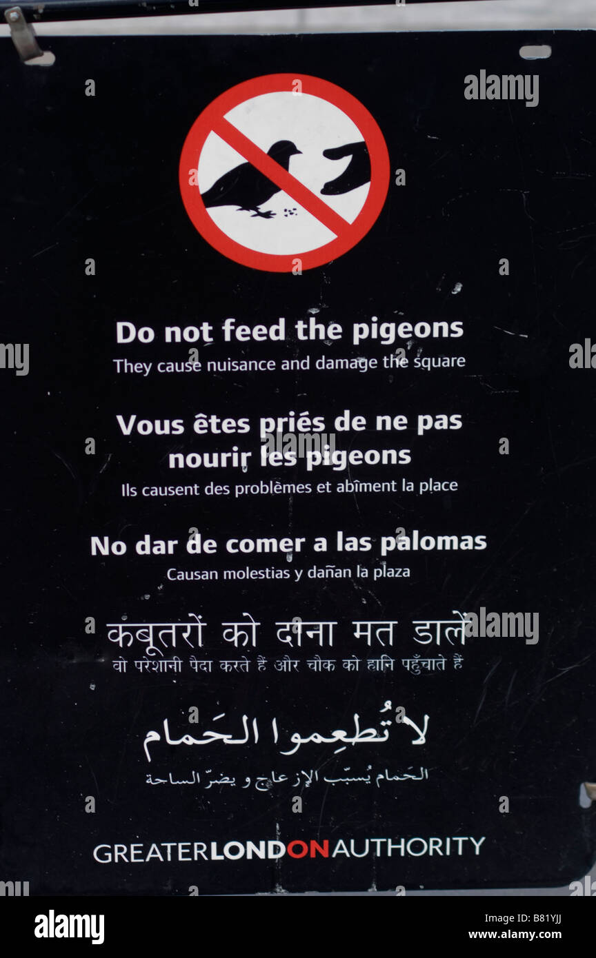 Do not feed the Pigeons sign Stock Photo - Alamy