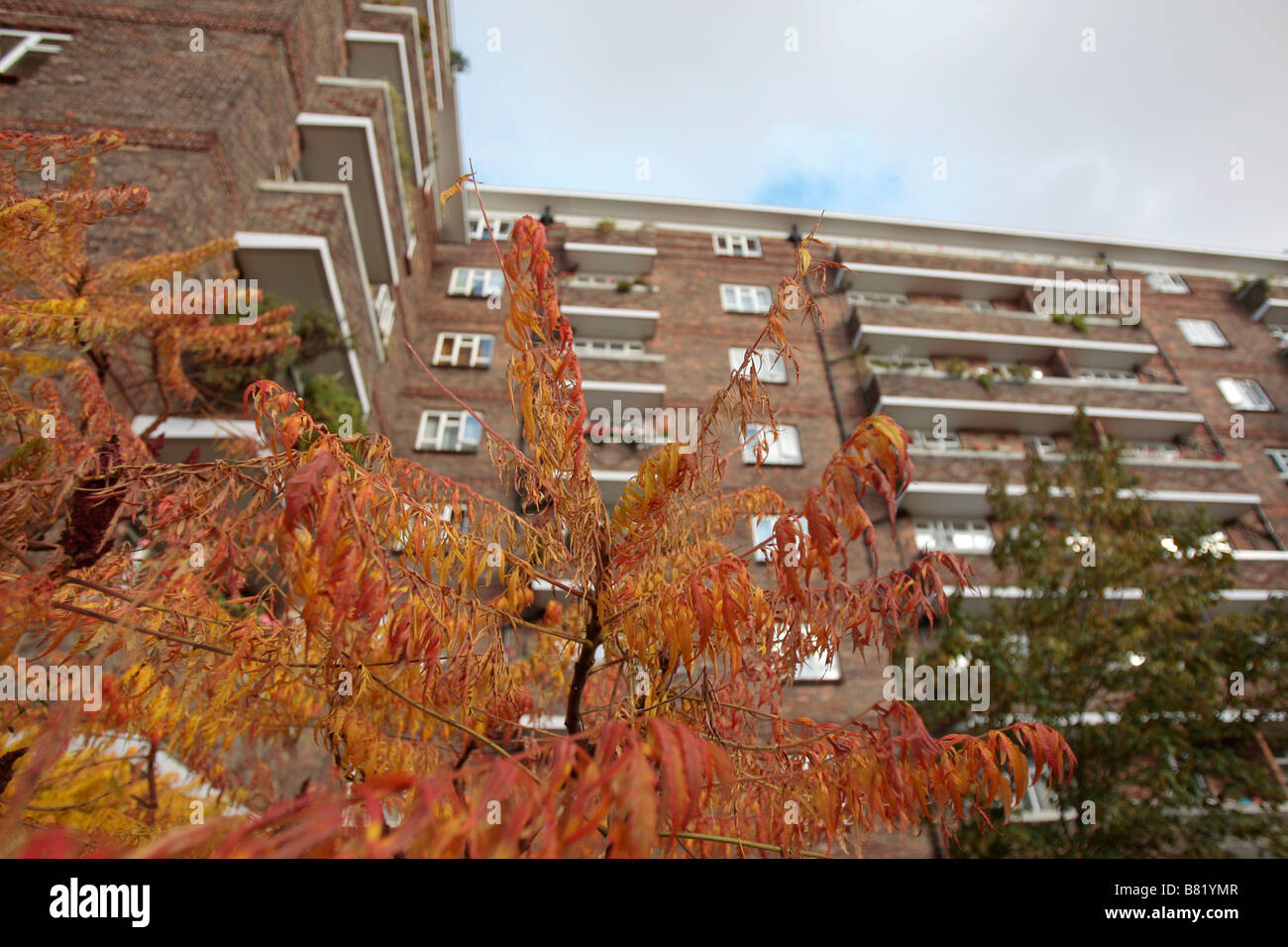 General view of the garden on a London housing estate Stock Photo - Alamy
