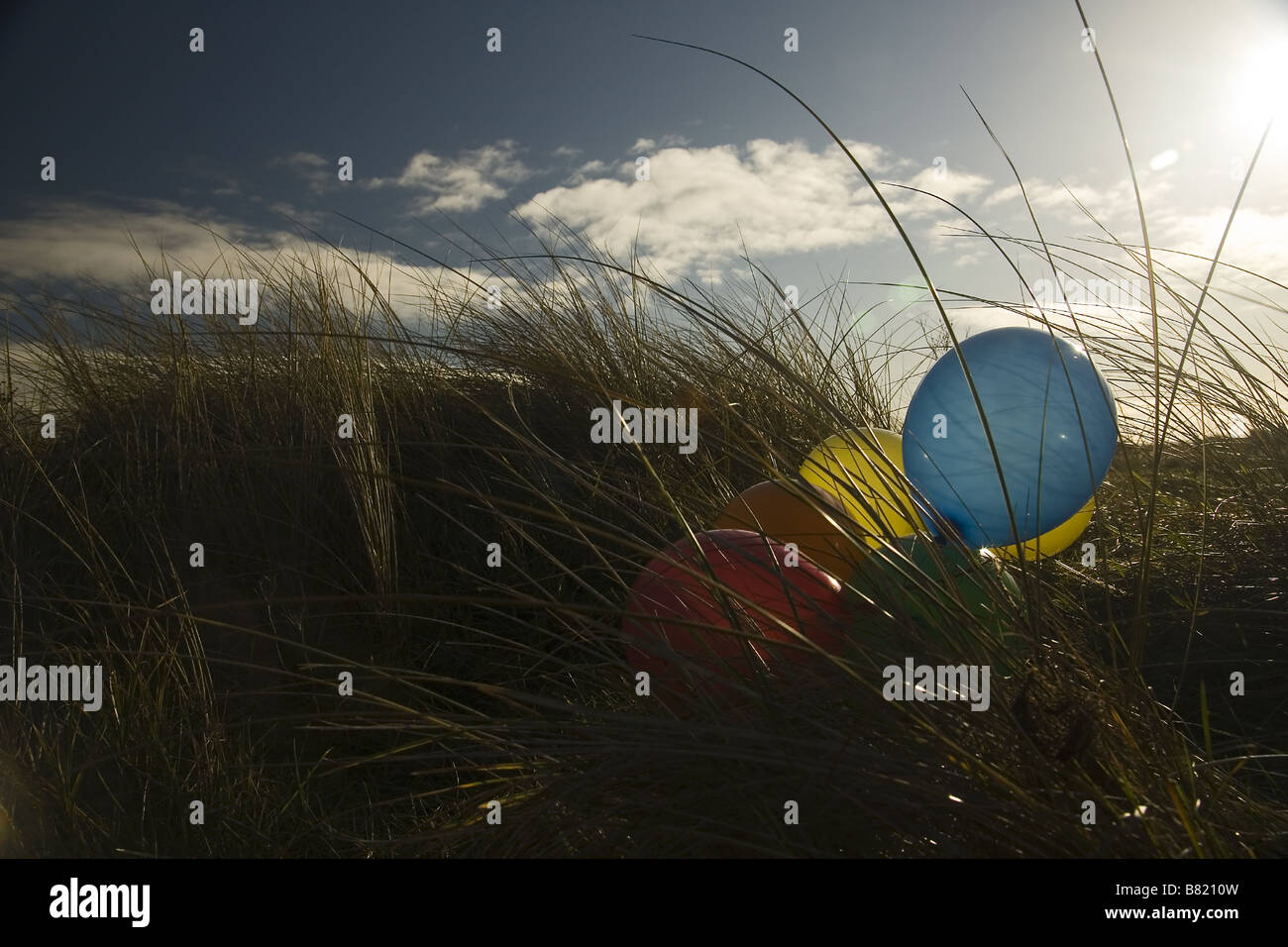 Warm afternoon glow hi-res stock photography and images - Alamy